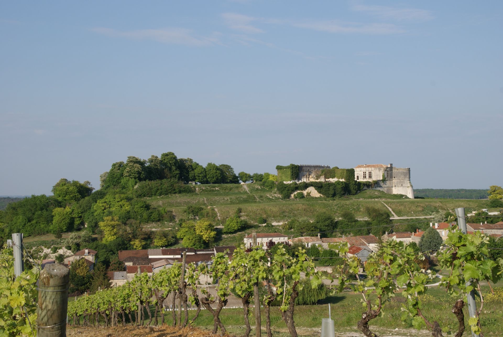 Cognac y Charente | Burdeos Turismo