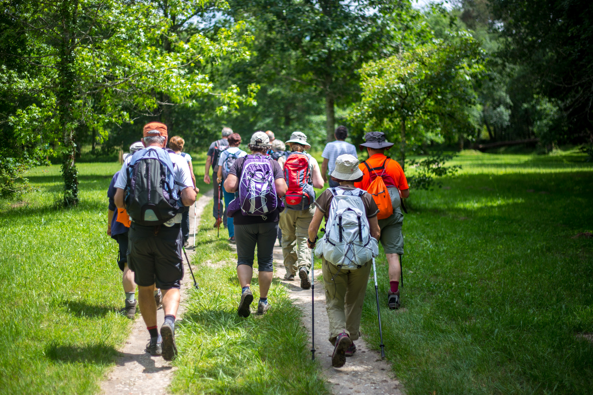 Naturaleza, excursiones fuera del centro de Burdeos | Burdeos Turismo